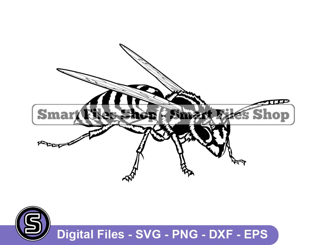 Yellow Jacket 3 Svg, Wasp Svg, Insect Svg, Wasp Dxf, Wasp Png, Wasp ...