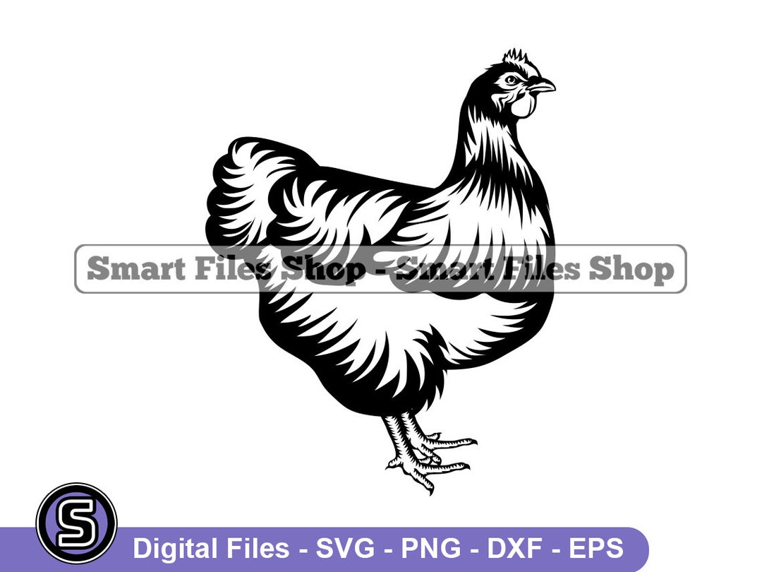 Rhode Island Red Chicken Svg, Chicken Dxf, Chicken Png, Chicken Clipart ...