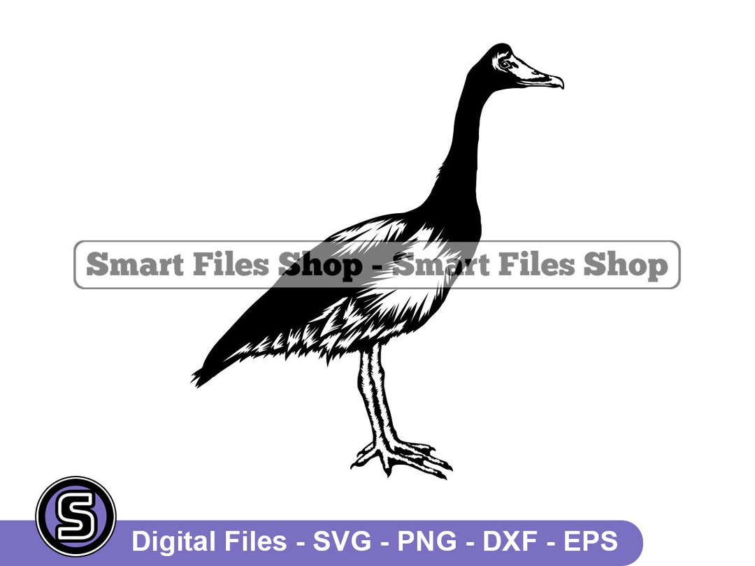 Magpie Goose Svg, Goose Svg, Hunting Svg, Goose Dxf, Goose Png, Goose ...