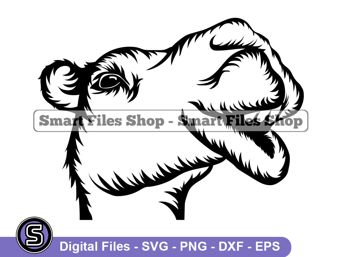 Smiling Camel SVG Camel Svg Camel Face Svg Camel Dxf Camel - Etsy Canada