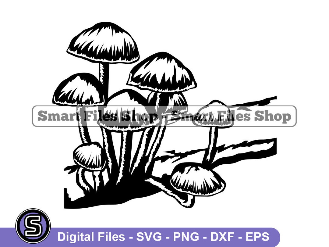 Champiñones 3 Svg, Hongo Svg, Vegetal Svg, Hongo Dxf, Hongo Png ...