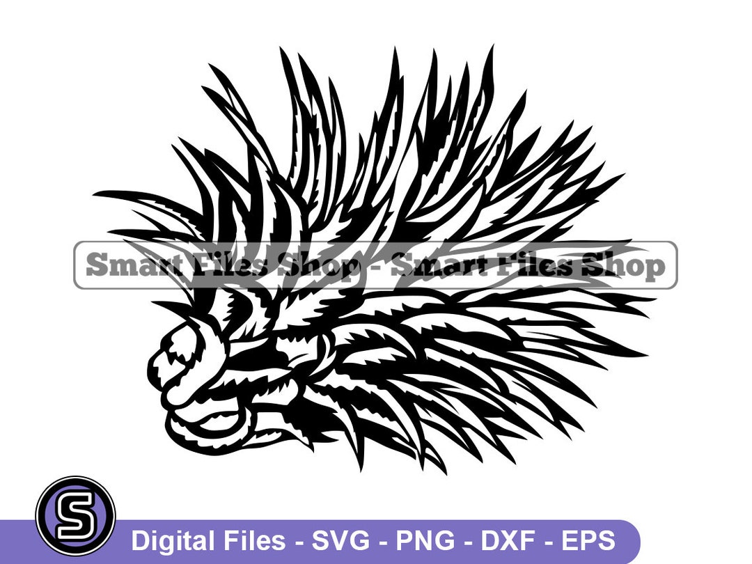 Air Plant Svg, Air Plant Cut Files, Air Plant Dxf, Air Plant Png, Air ...