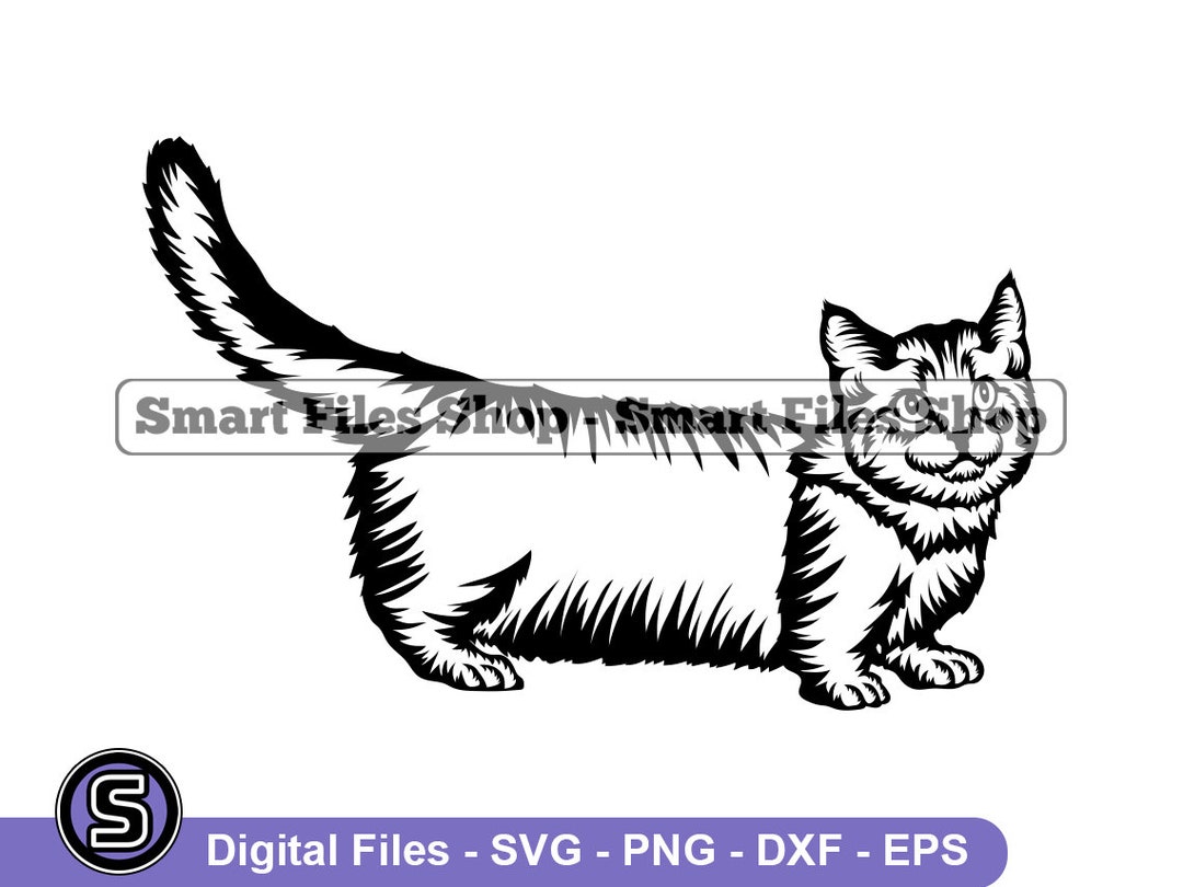 Munchkin Cat SVG, Cat Svg, Pet Svg, Munchkin Cat Dxf, Cat Png, Cat ...