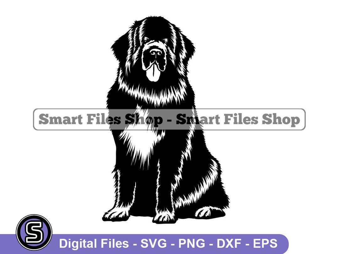 Sitting Newfoundland SVG, Newfoundland Svg, Dog Svg, Newfoundland Dxf ...