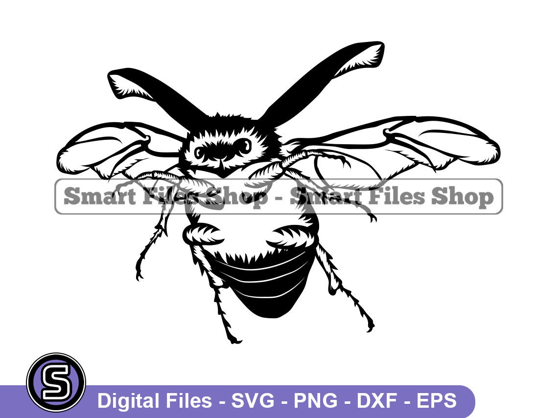 Flying Beetle SVG Beetle Svg Bug Svg Beetle Dxf Beetle | Etsy
