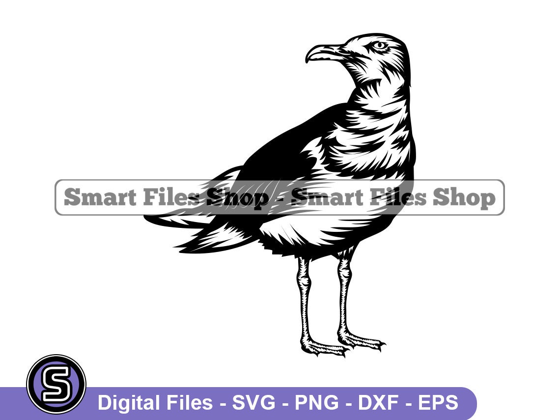 Seagull Svg, Nautical Svg, Seagull Dxf, Seagull Png, Seagull Clipart ...