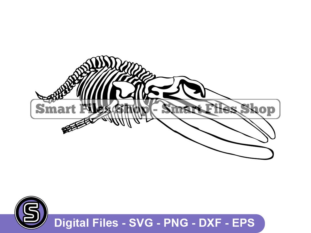 Whale Skeleton Svg, Whale Svg, Sea Creatures Svg, Whale Dxf, Whale Png ...