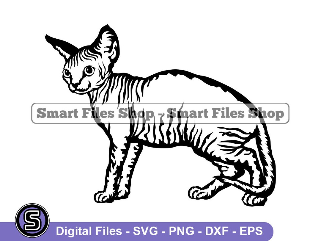 Devon Rex Cat SVG, Cat Svg, Pet Svg, Devon Rex Cat Dxf, Cat Png, Cat ...