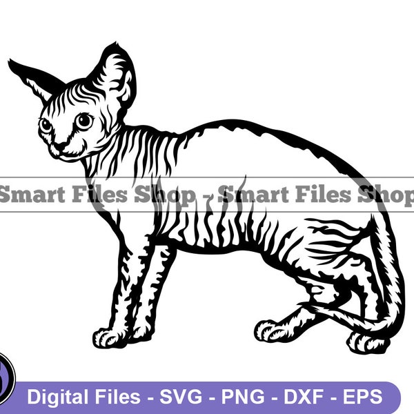 Devon Rex - Etsy