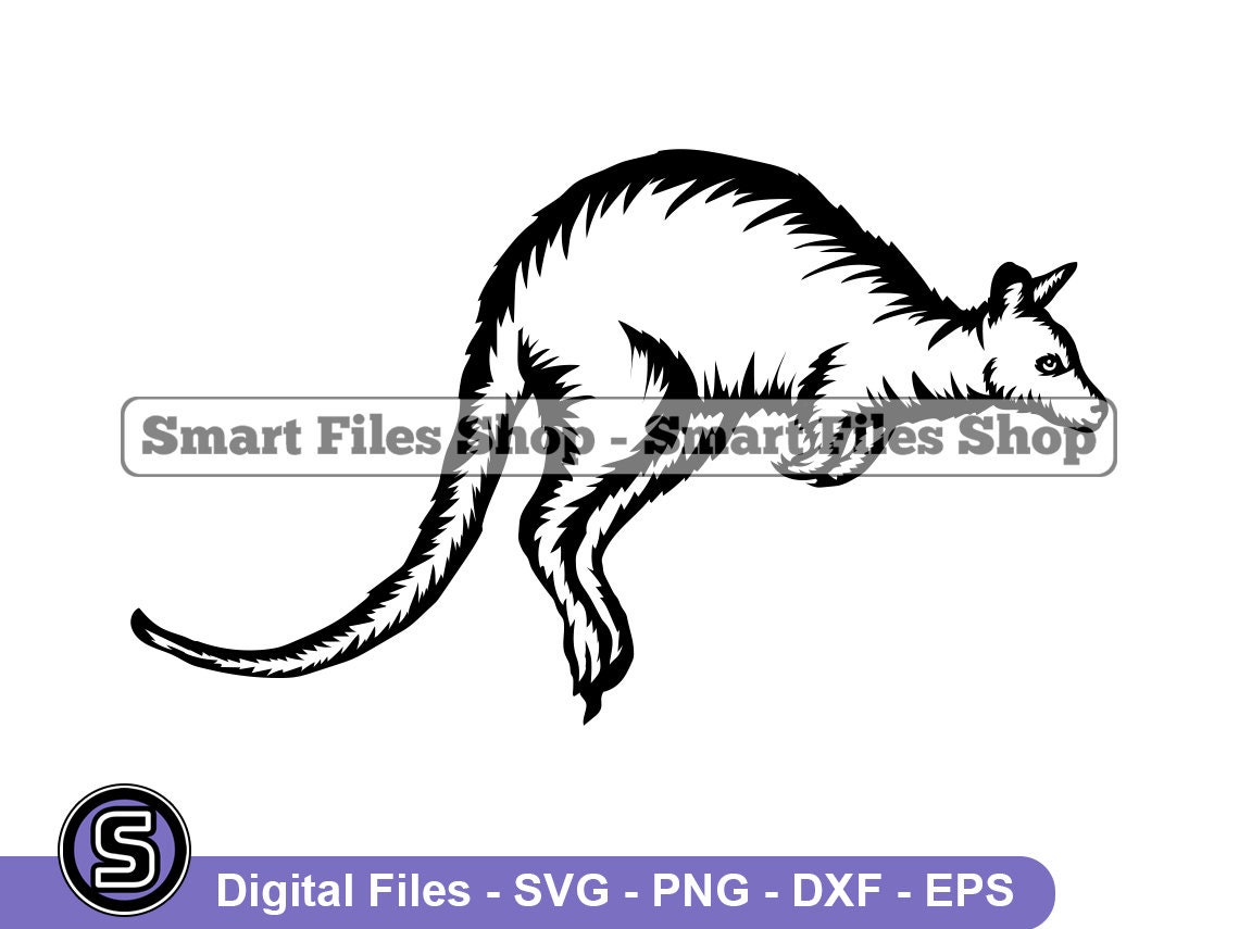 Wallaby SVG Animals Svg Wallaby Dxf Wallaby Png Wallaby - Etsy