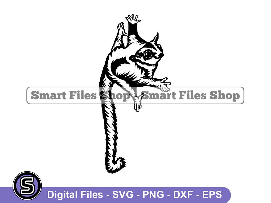 Sugar Glider #3 SVG, Sugar Glider Svg, Sugar Glider Dxf, Sugar Glider ...