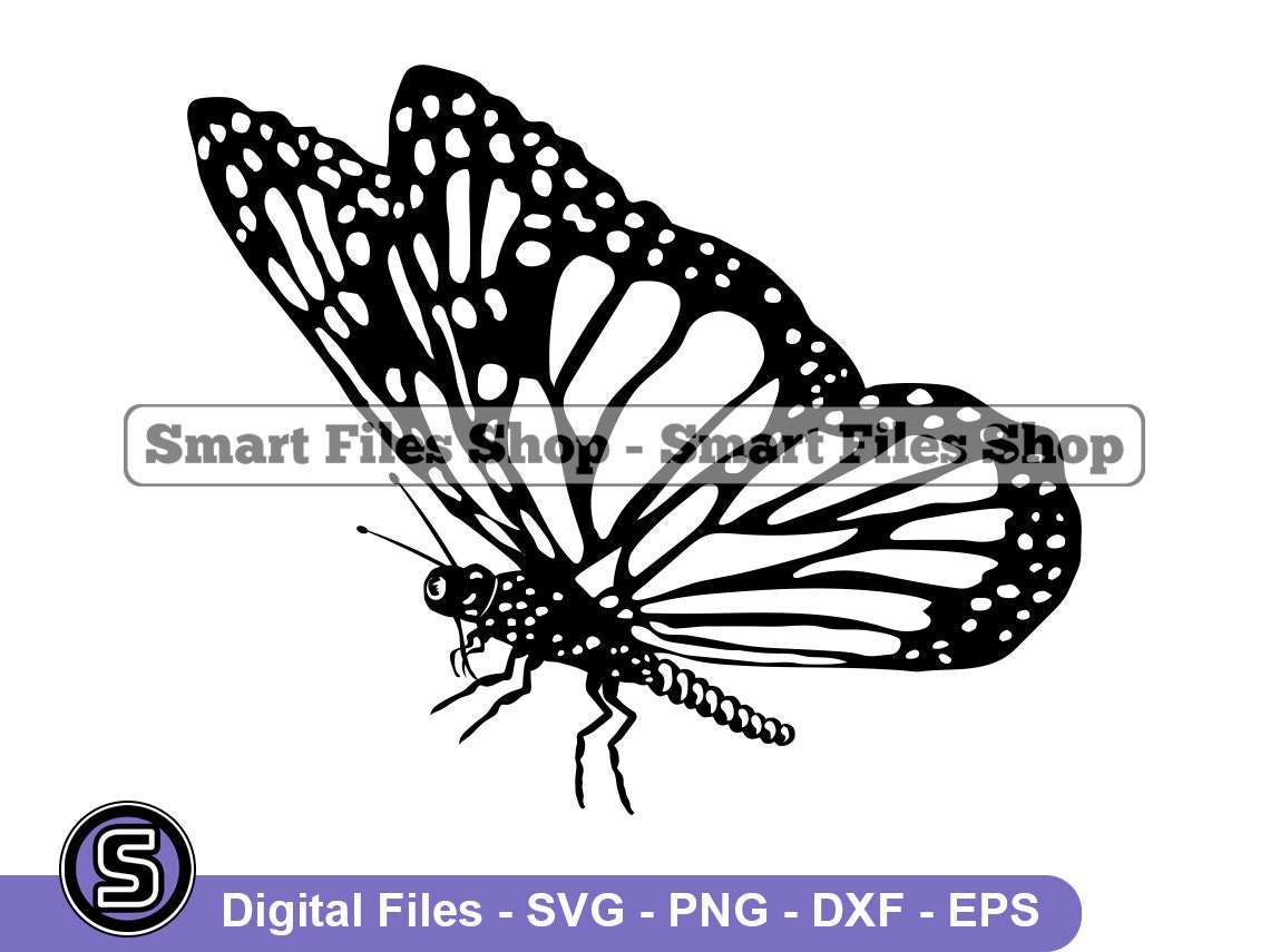 Butterfly 4 Svg Moth Svg Insect Svg Butterfly Dxf - Etsy