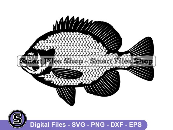 Bluegill Svg Fish Svg Fishing Svg Fishing Dxf Fishing Png | Etsy