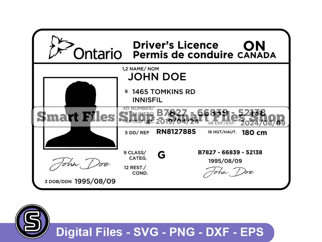 Canada Drivers Licence Template Svg, Drivers Licence Svg, ID Svg ...