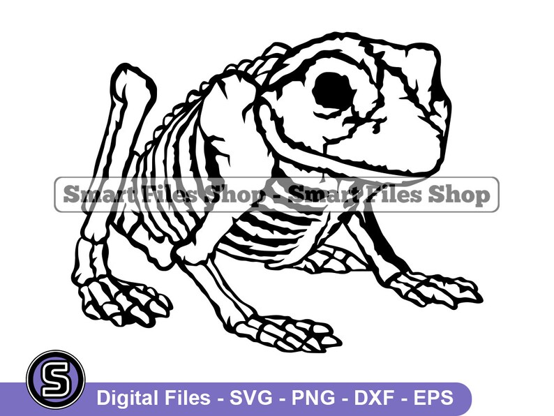 Frog Skeleton Svg Frog Svg Amphibian Svg Frog Dxf Frog - Etsy