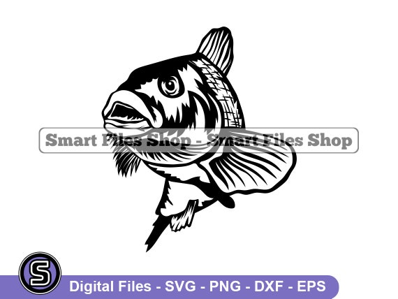 Carp Svg Carp Fishing Svg Fish Svg Fishing Svg Fishing - Etsy