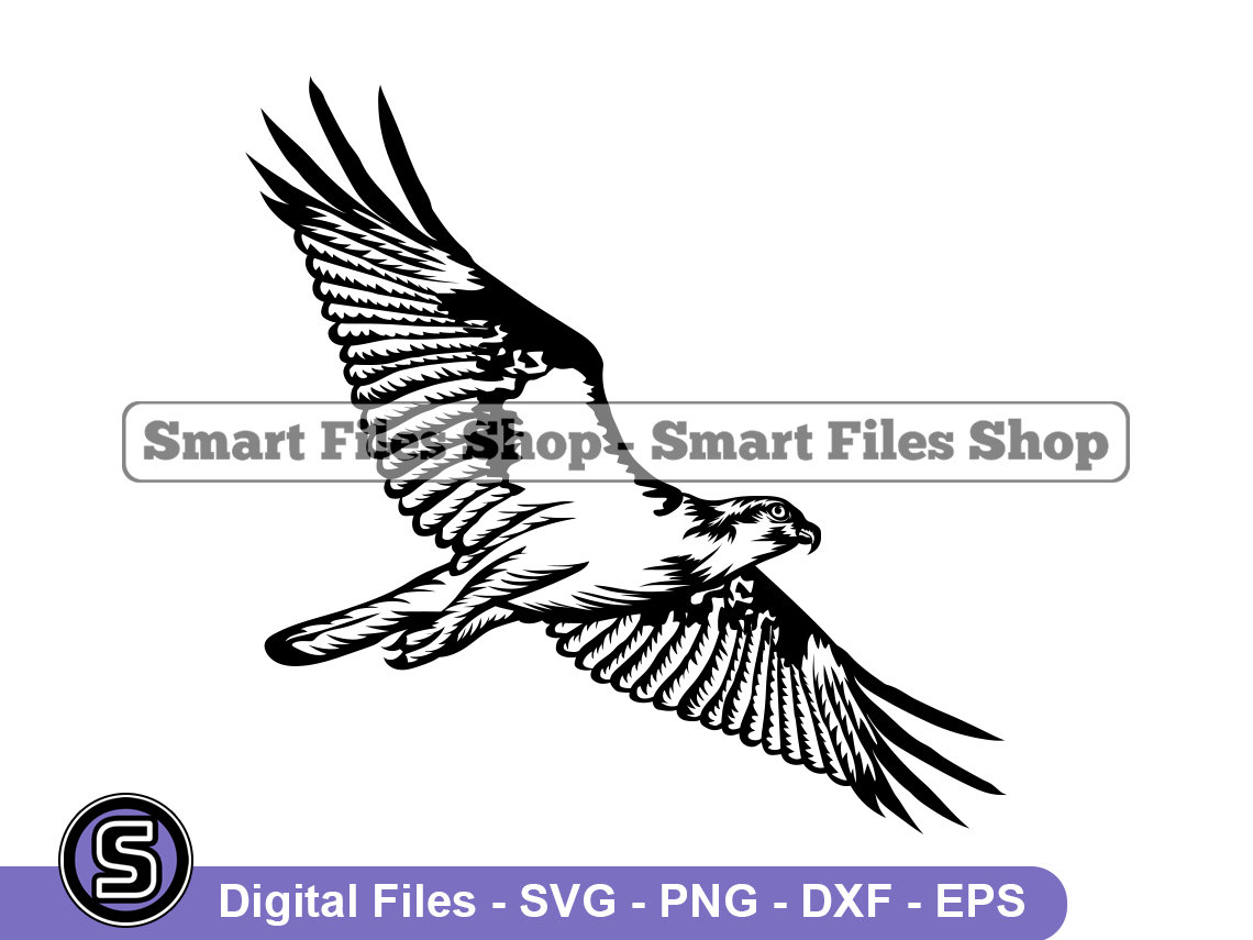Osprey Svg Predator Bird Svg Osprey Dxf Osprey Png Osprey | Etsy