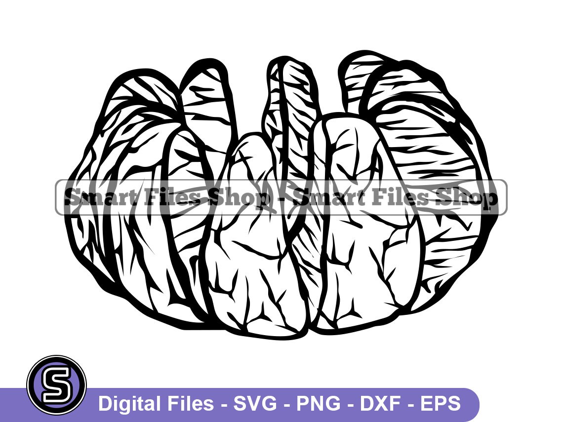 Peeled Tangerine Svg Tangerine Svg Fruit Svg Tangerine Dxf | Etsy