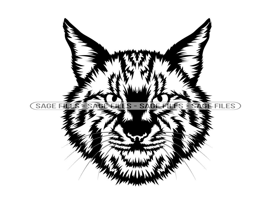 How To Draw A Bobcat Head