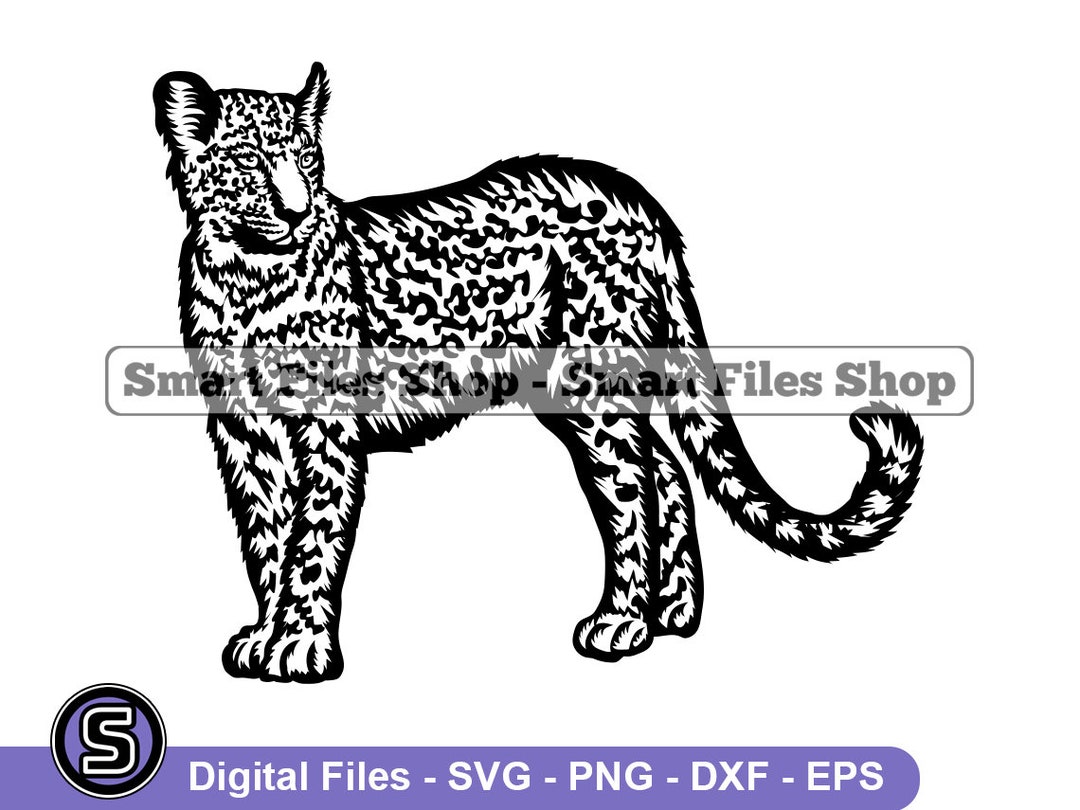 Leopard Svg, Leopard Dxf, Leopard Png, Leopard Clipart, Leopard Files ...