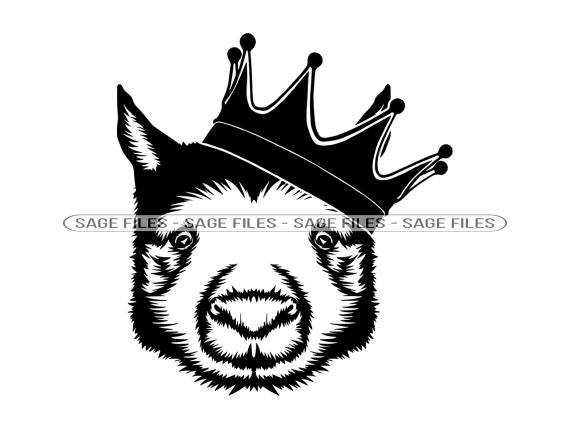 Wombat in Crown 2 SVG Wombat King SVG Wombat Dxf Wombat - Etsy Australia