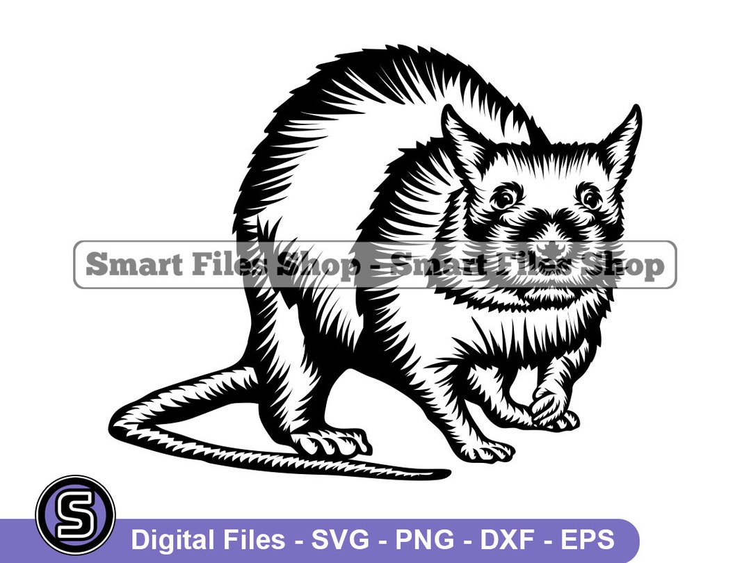 Rat Svg, Rodent Svg, Exterminator Svg, Rat Design Svg, Rat Dxf, Rat Png ...