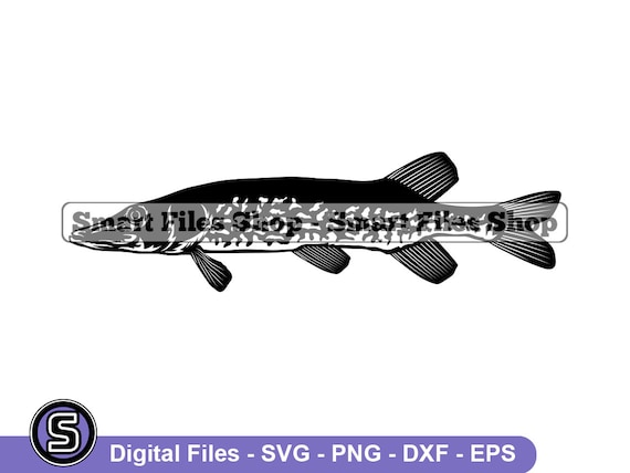 Chain Pickerel Svg Fish Svg Fishing Svg Fishing Dxf - Etsy