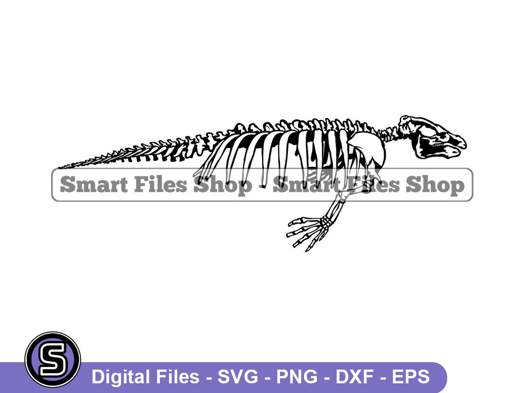 Robben Svg, Seehund Svg, Seelöwe Svg, Robbe Dxf, Robbe Png, Robbe ...