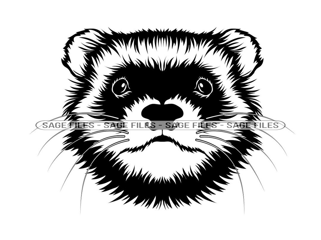 Ferret Head SVG, Ferret Mascot Svg, Ferret Face Svg, Ferret Svg, Ferret ...