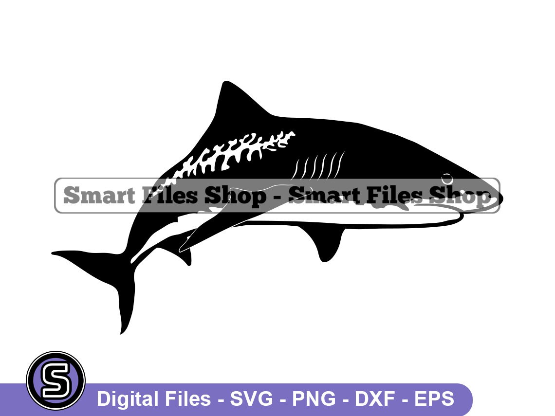 Tiger Shark 2 SVG Tiger Shark SVG Shark Svg Tiger Shark - Etsy