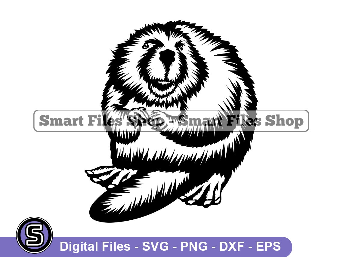 Beaver SVG Animals Svg Beaver Dxf Beaver Png Beaver - Etsy