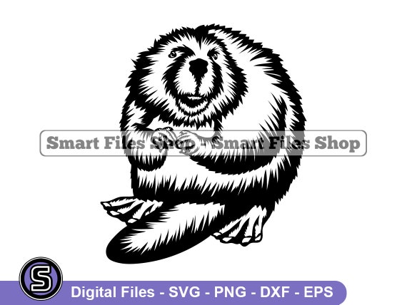 Beaver SVG Animals Svg Beaver Dxf Beaver Png Beaver - Etsy