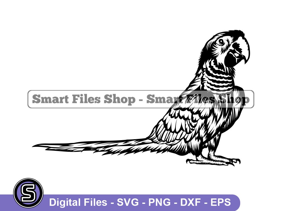 Macaw 4 SVG Macaw Svg Bird Svg Parrot Svg Macaw Dxf - Etsy