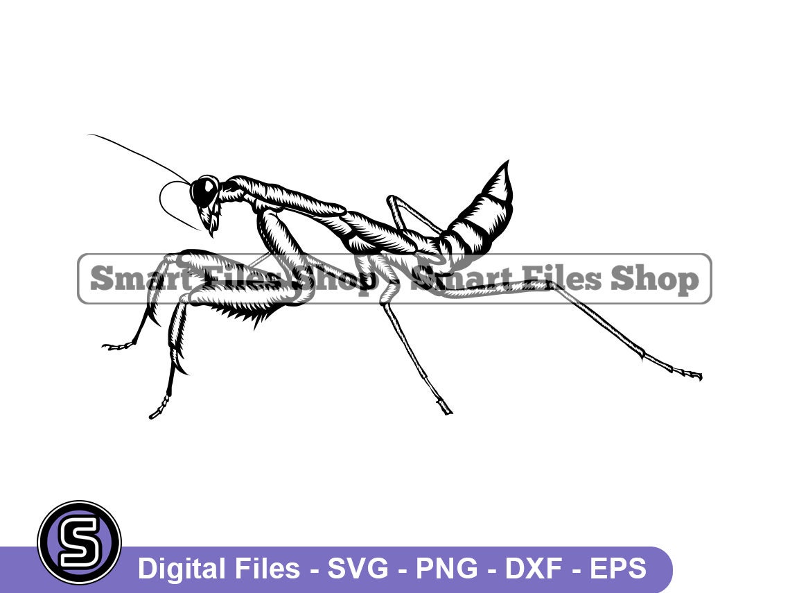 Mantis Svg Praying Mantis Svg Mantis Dxf Mantis Png Mantis | Etsy