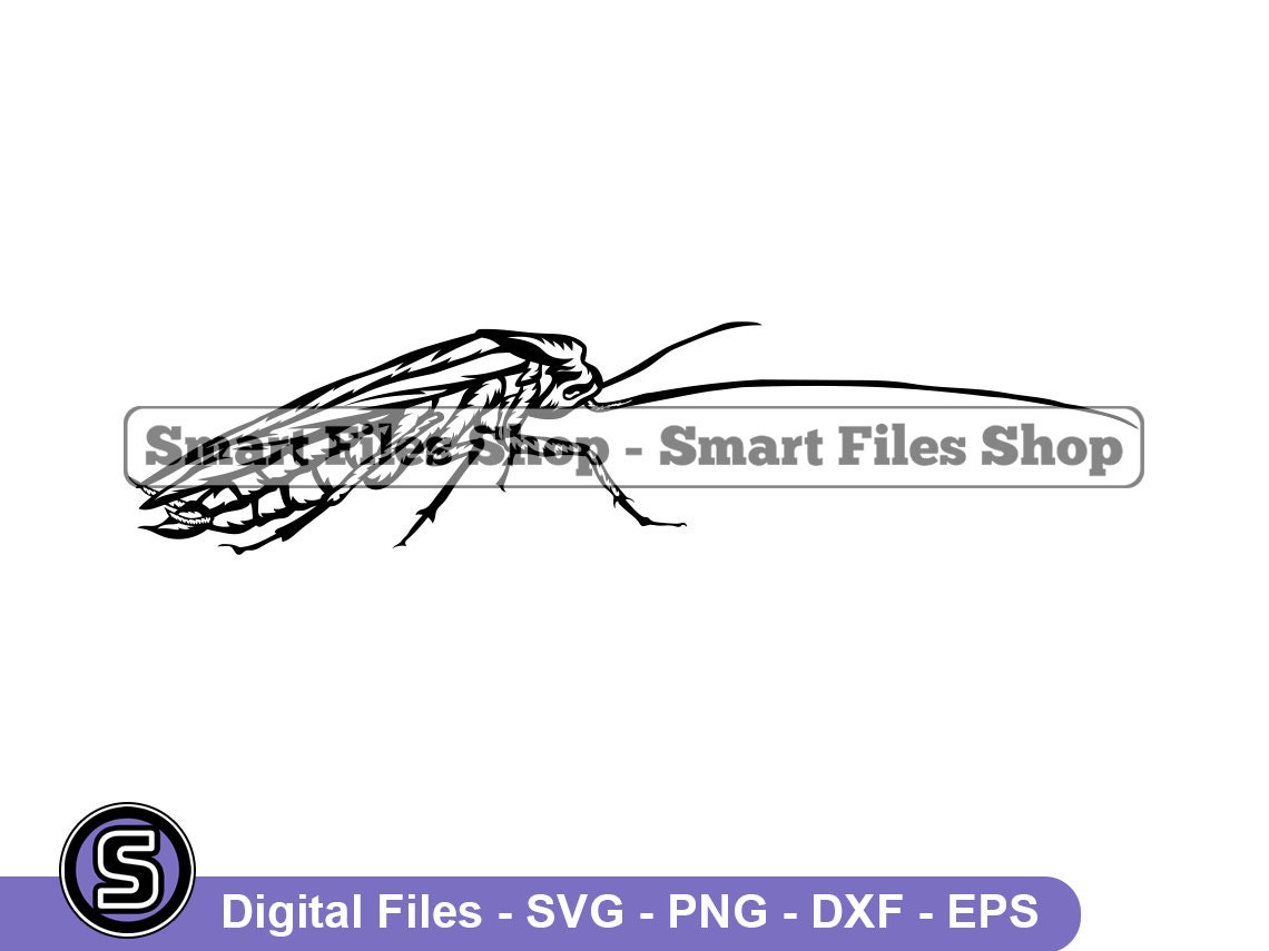 Cockroach SVG Roach SVG Cockroach Dxf Cockroach Png - Etsy