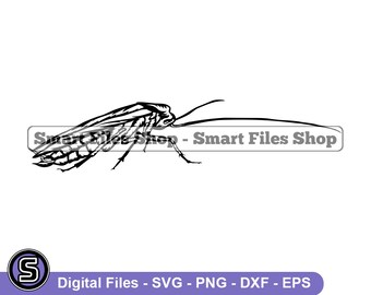 Roach Clipart Eps Png - Etsy