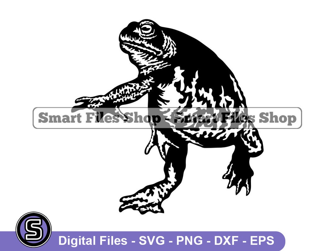 Flying Toad Svg, Toad Svg, Frog Svg, Toad Dxf, Toad Png, Toad Clipart ...