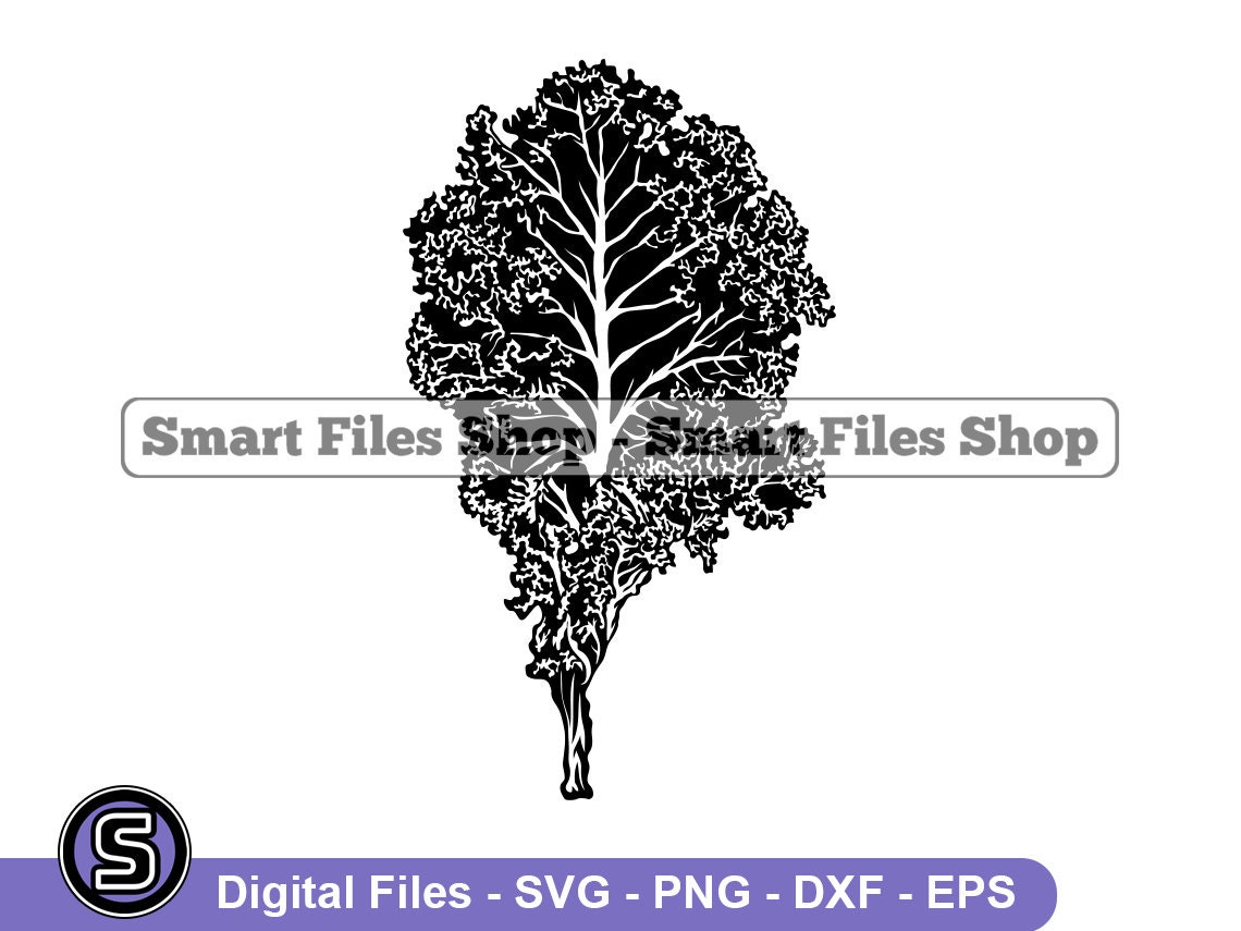 Kale SVG Vegetables Svg Healthy Svg Diet Svg Kale Dxf | Etsy