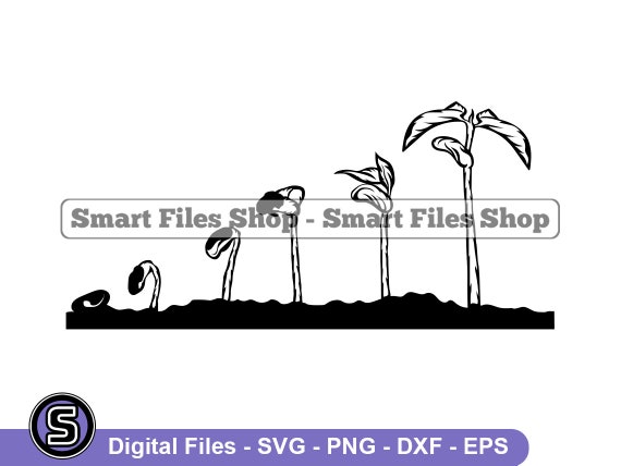 Seed Growing SVG Plant Svg Farming Svg Gardening Svg | Etsy