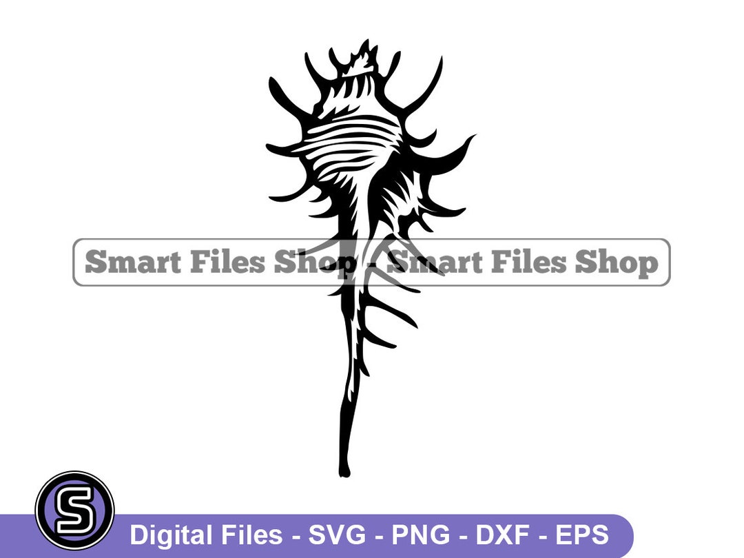 Murex Shell SVG, Nautical Svg, Murex Shell Dxf, Murex Shell Png, Murex ...