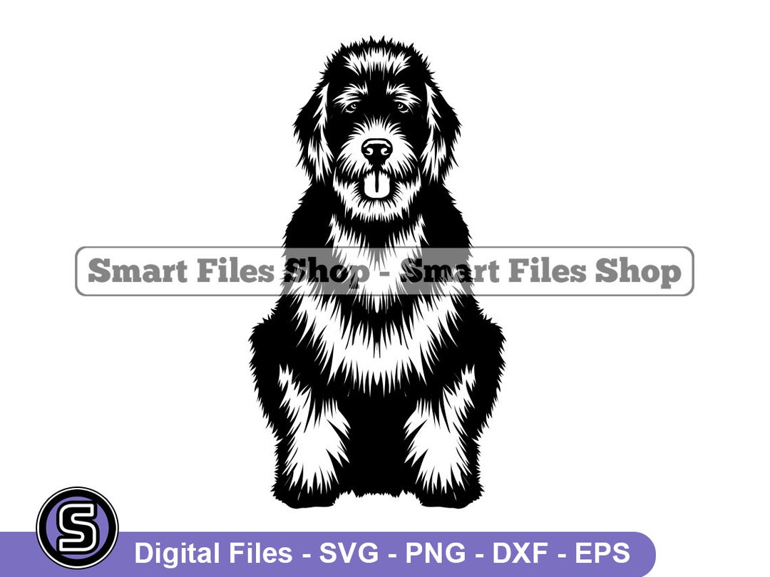 Sitting Bernedoodle SVG Bernedoodle Svg Dog Svg Bernedoodle - Etsy
