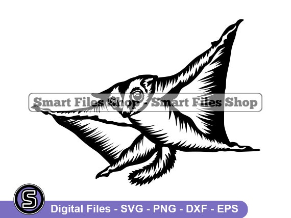 Sugar Glider 2 SVG Sugar Glider Svg Sugar Glider Dxf Sugar | Etsy