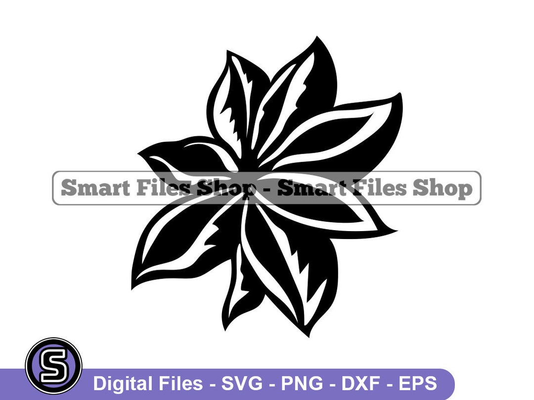 Star Anise Svg, Spice Svg, Food Svg, Star Anise Dxf, Star Anise Png ...