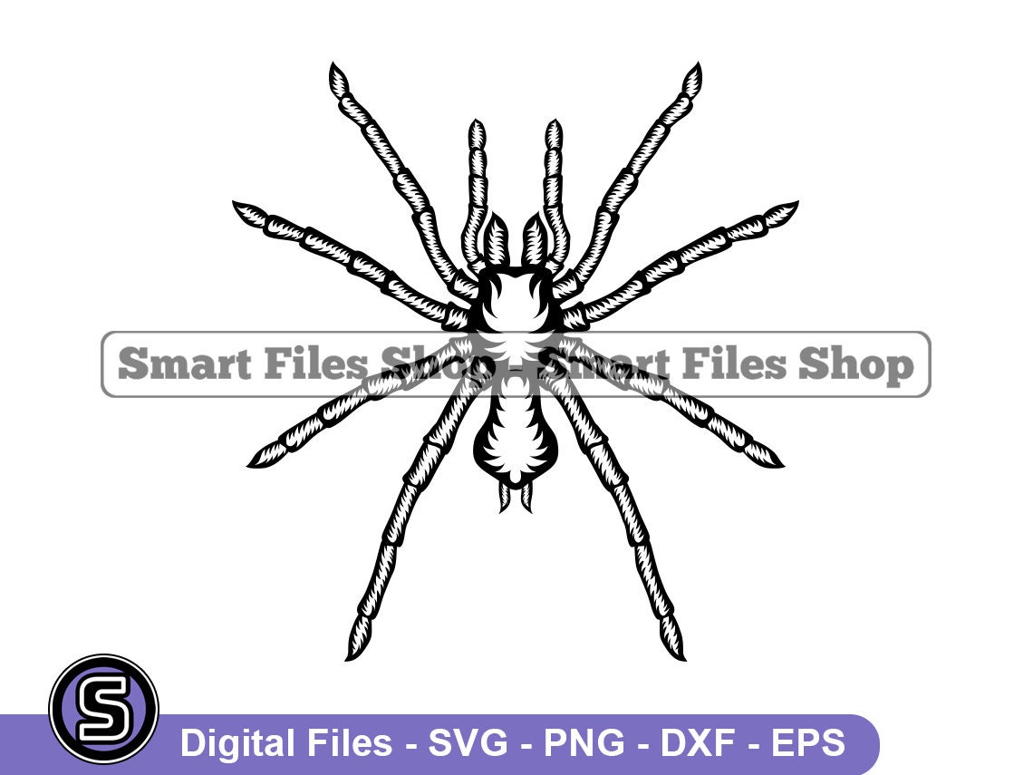 Spider Logo Svg Spider Svg Spider Dxf Spider Png Spider | Etsy