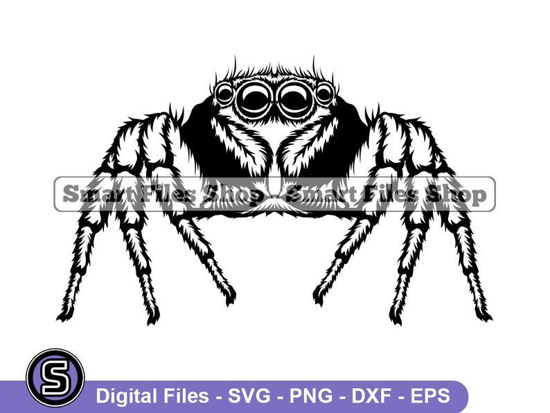 Spider 2 SVG Spider SVG Spider Design Svg Spider Dxf | Etsy