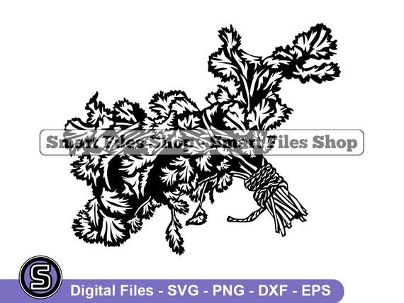 Cilantro Svg Vegetables Svg Cilantro Dxf Cilantro Png | Etsy