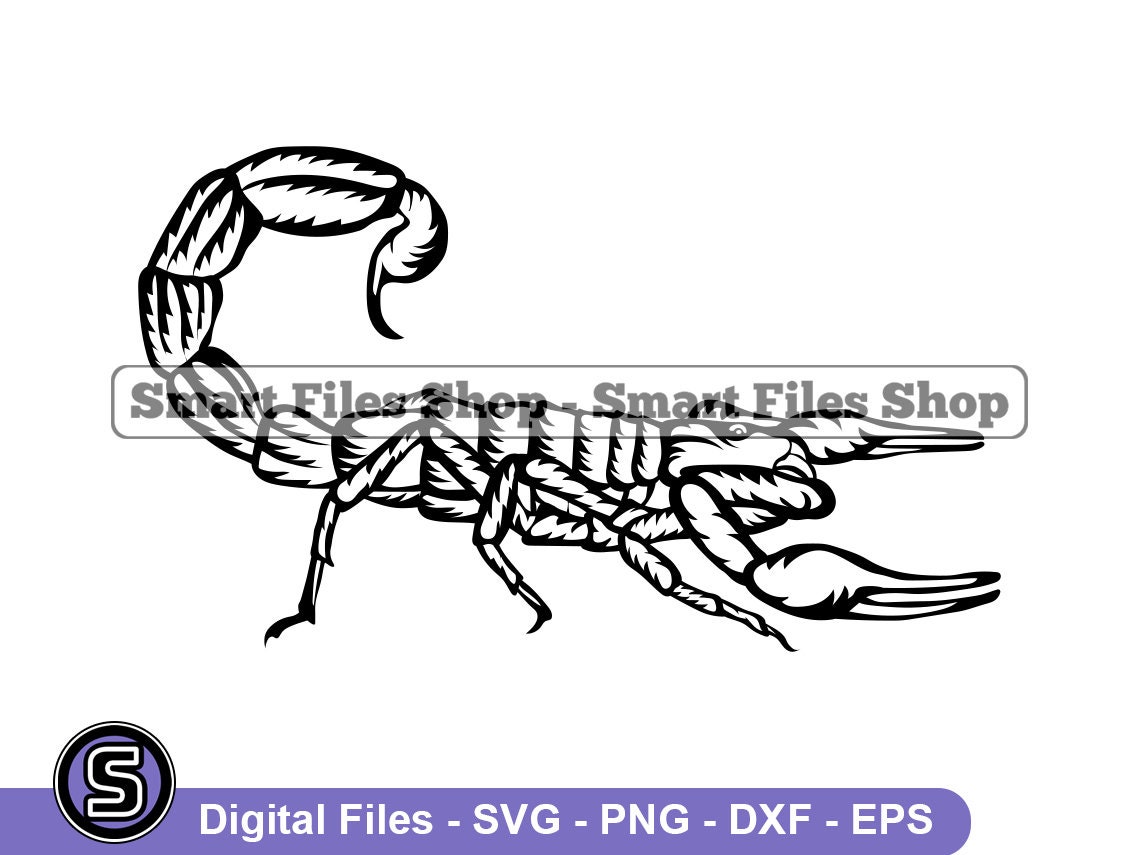 Scorpion 3 Svg Scorpion Svg Scorpion Logo Svg Scorpion | Etsy