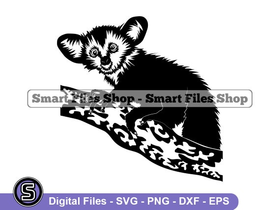 Aye Aye SVG Jungle Animals Svg Aye Aye Dxf Aye Aye Png Aye - Etsy
