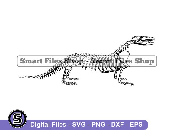 Komodo Dragon Skeleton Svg King Komodo Dragon Svg Komodo - Etsy Australia