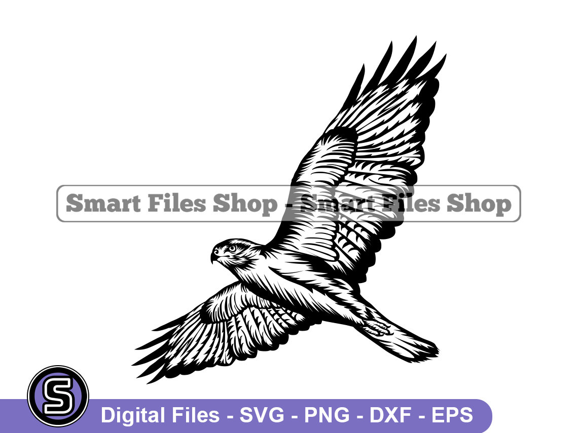 Buzzard 4 Svg Buzzard Svg Predator Bird Svg Buzzard Dxf | Etsy